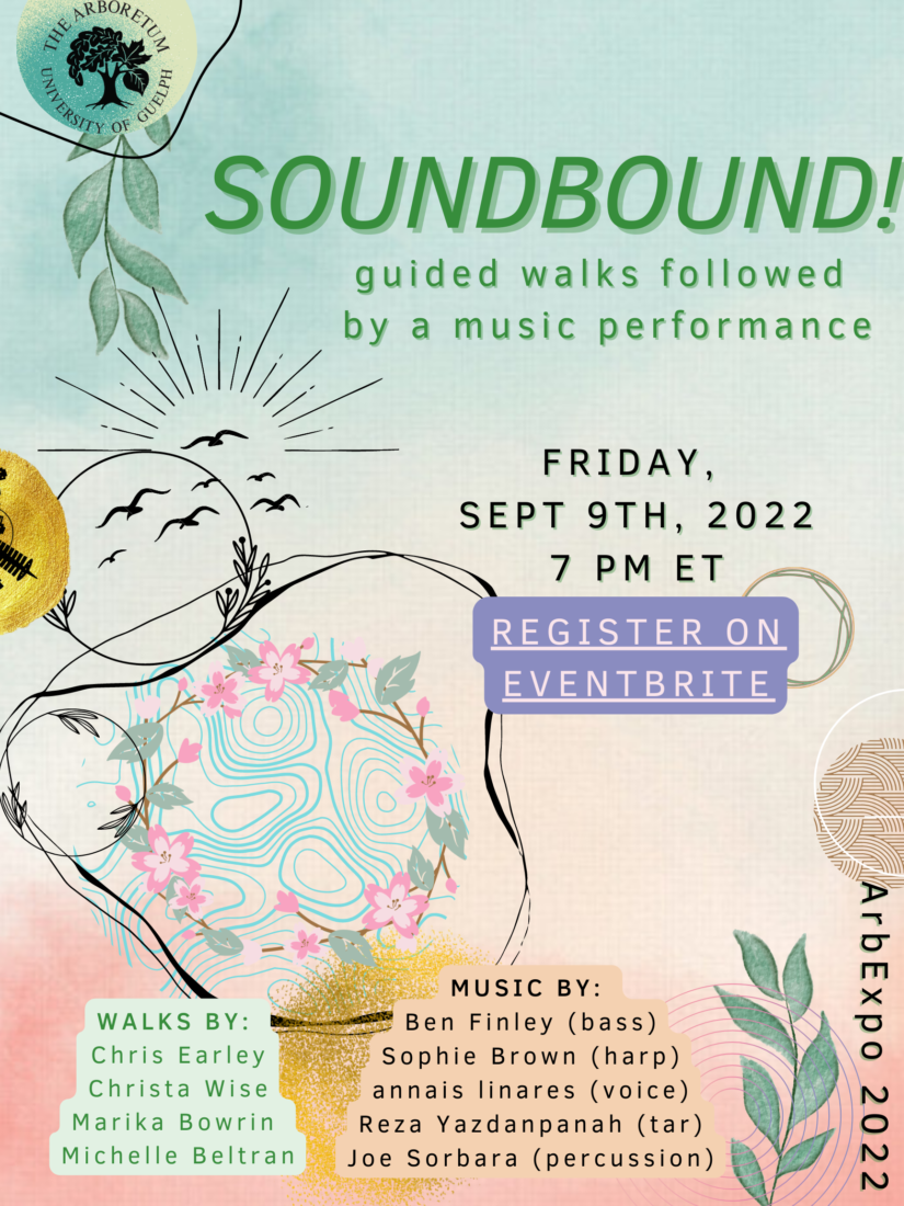 SoundBound! - Hillside Festival