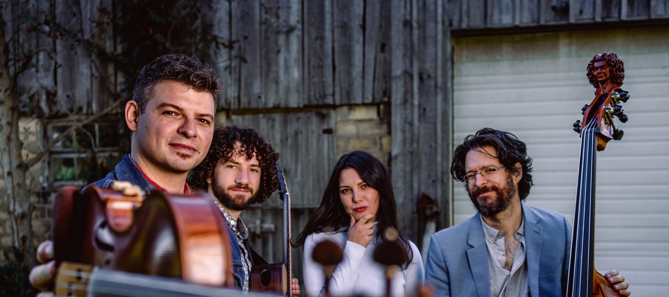 Shane Cook & The Woodchippers - Hillside Festival